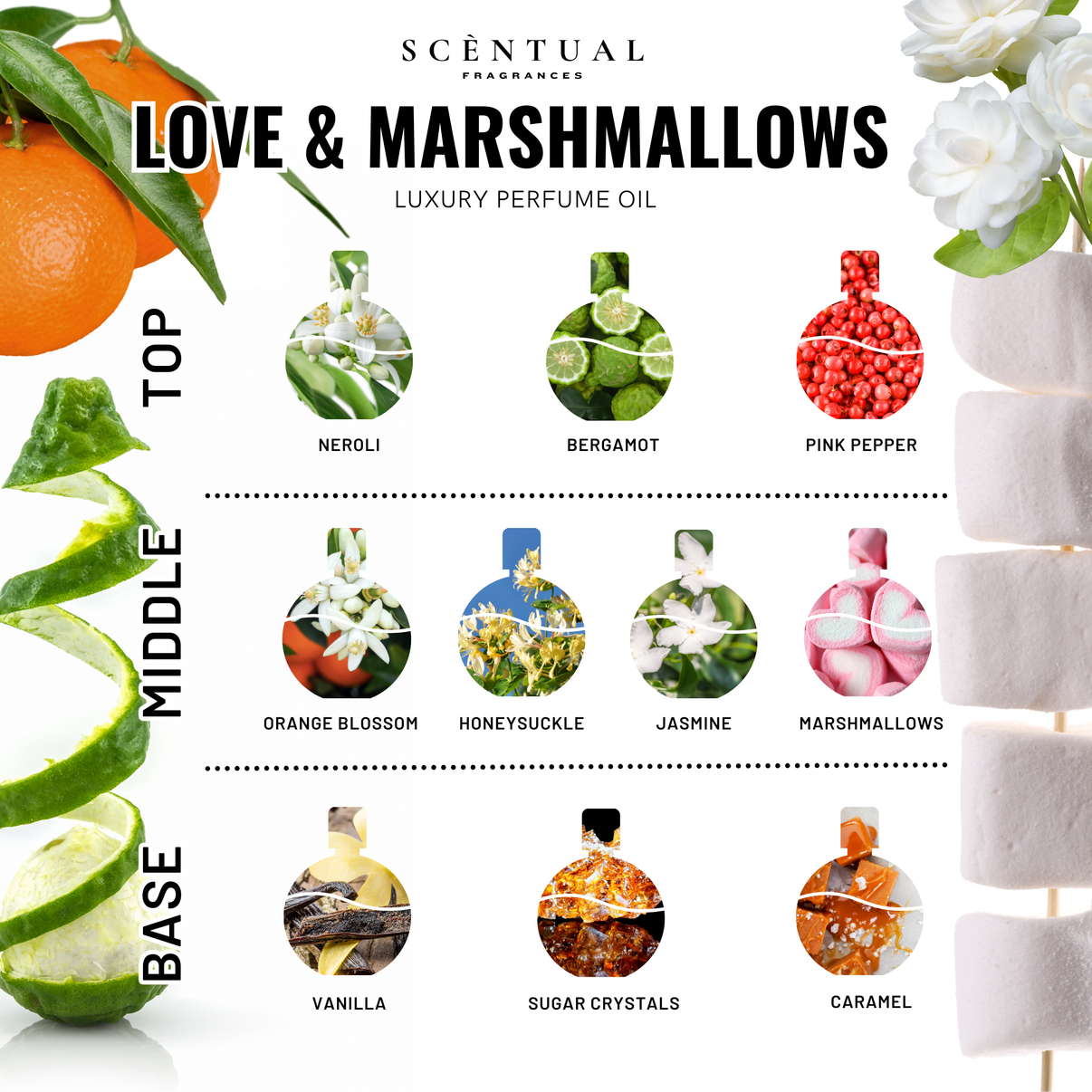 Love & Marshmallows Ultra-Concentrated Perfume Mist – Scèntual Fragrances