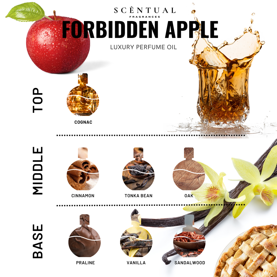 Ultra-Concentrated Perfume Mist by Scentual Fragrances – Scèntual ...