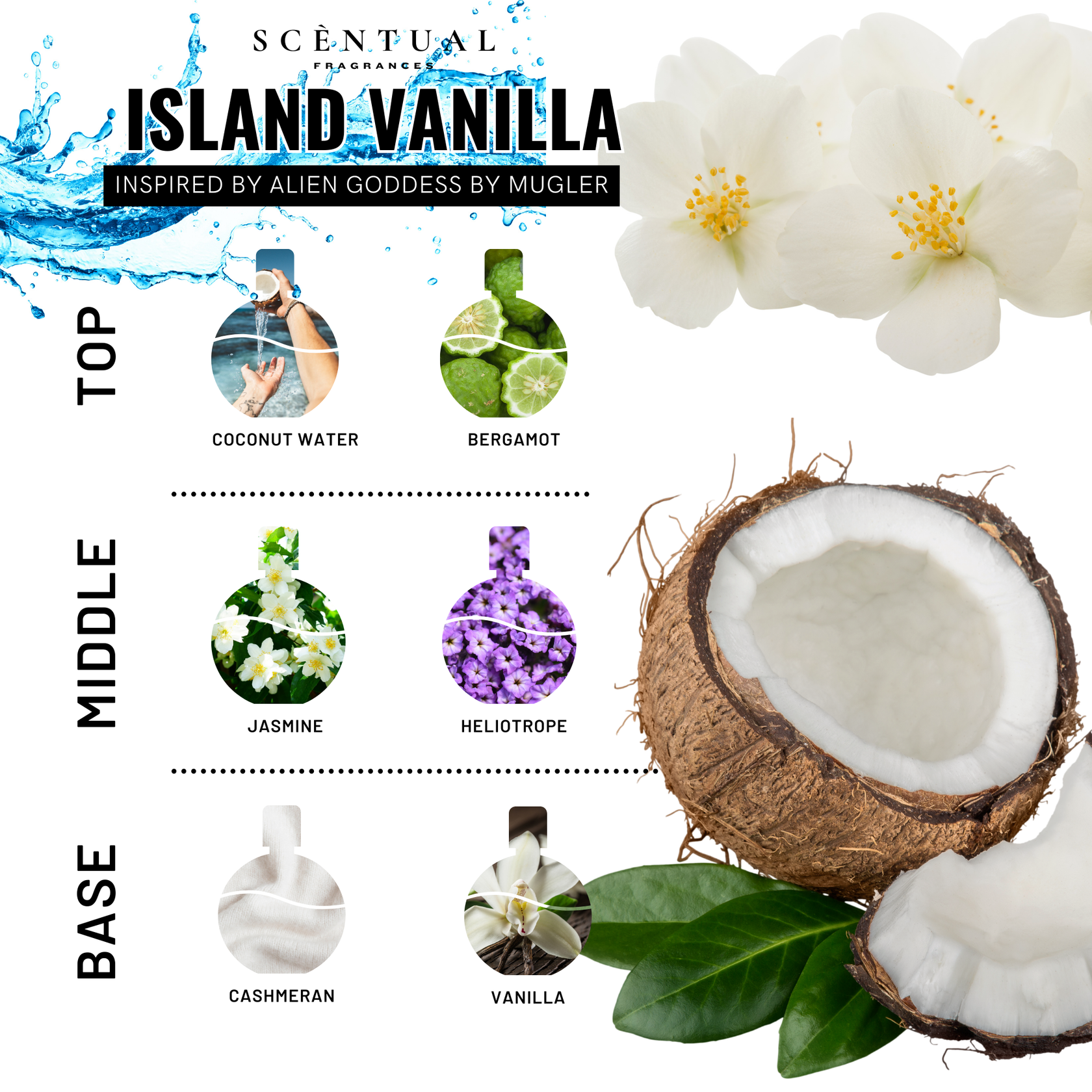 Island Vanilla Ultra-Concentrated Perfume Mist – Scèntual Fragrances